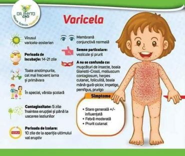 Informații utile de la pediatri despre bolile copilăriei – rujeolă ...
