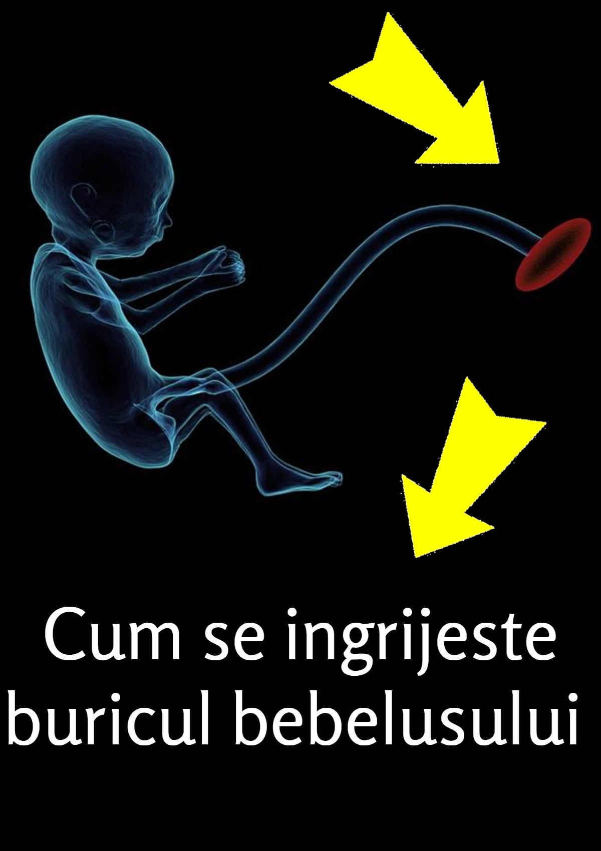 Cum trebuie ingrijit buricul bebelusului si cand este normal sa cada ...