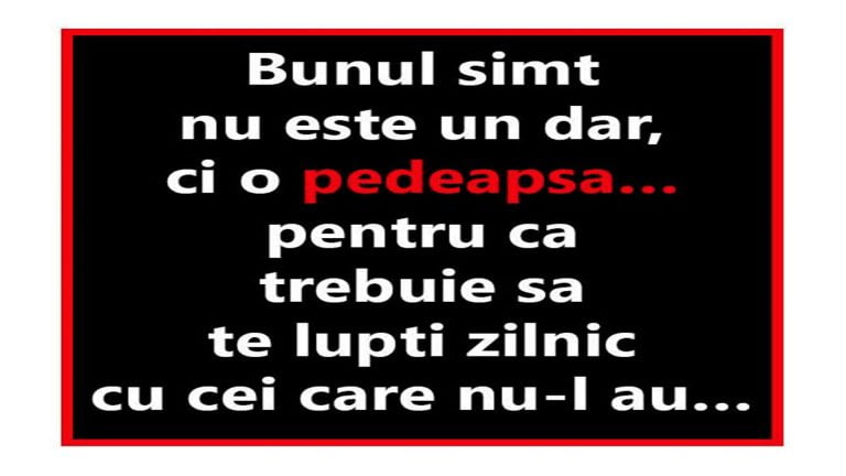 Bunul simț nu este un dar, ci o pedeapsă... trebuie să lupți zilnic cu ...
