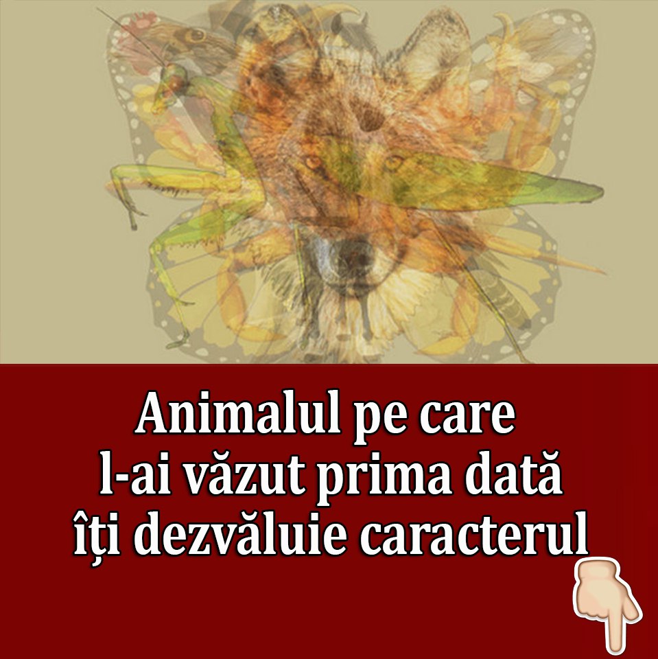 Primul animal pe care il recunosti in aceasta imagine iti va spune tot ...